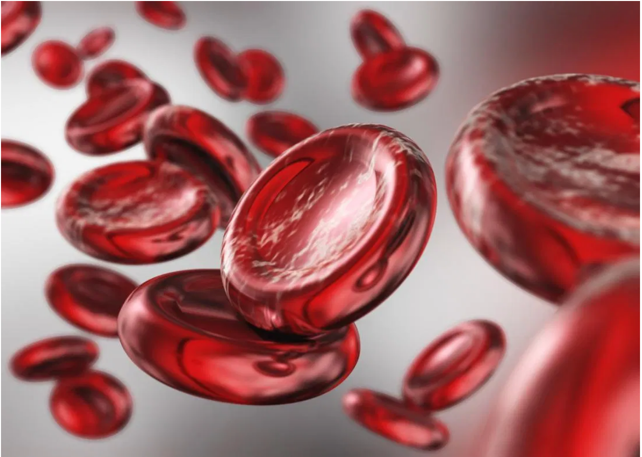 What Is A Normal Blood Sugar Level Erectile Doctor What Is A Normal Blood Sugar Level Erectile Doctor